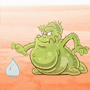 Crotch Deodorant for Men